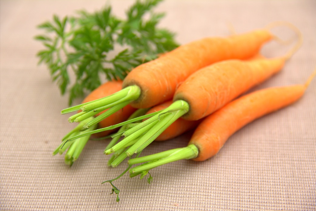 Wieso "Bio"-Karotten und "Bio"-Zitronen...? - Free Your Food